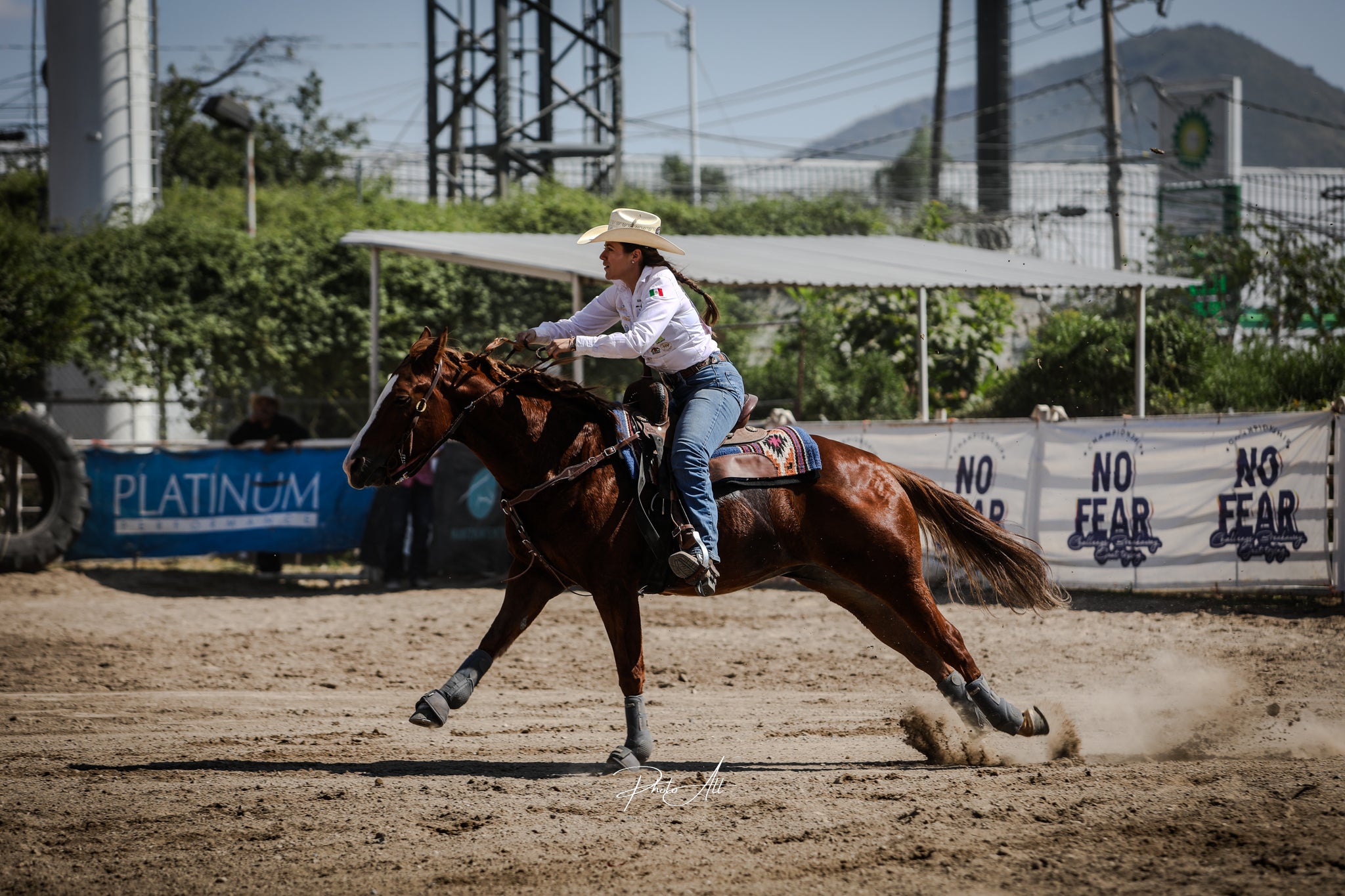Caballo – tagged "Caballo" – BRUMBY